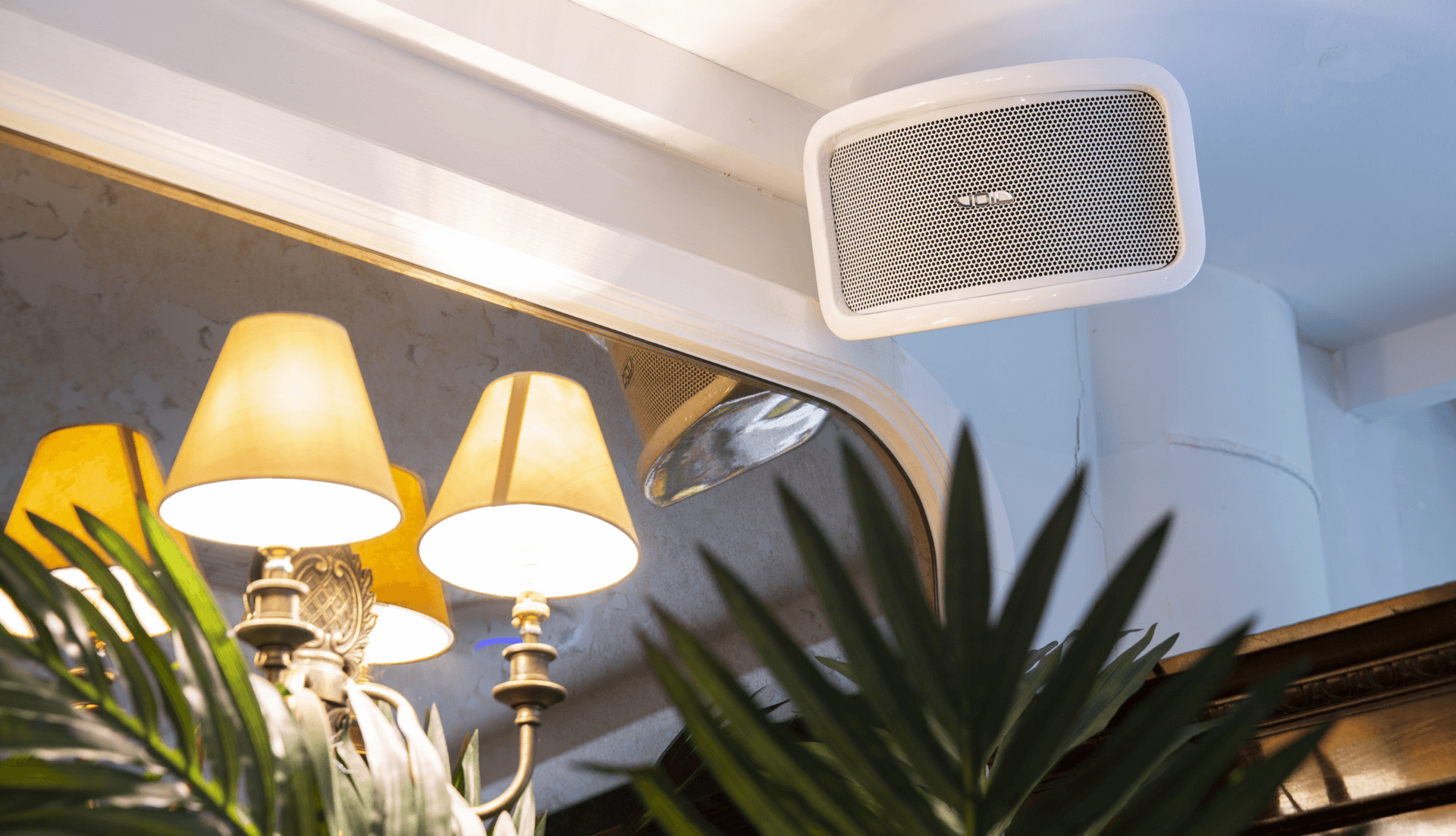 Contact Us | Aura Visual System